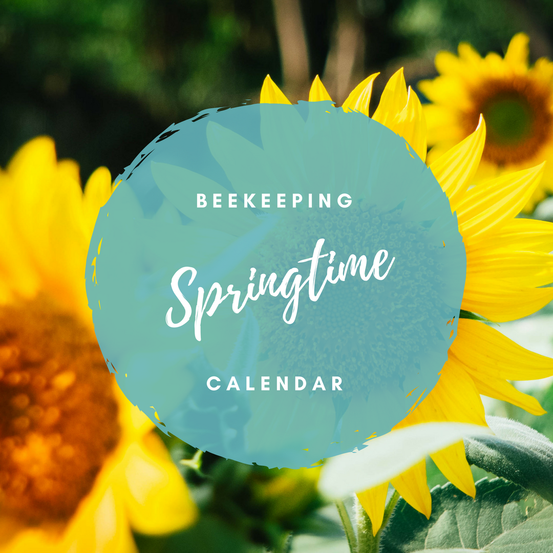 Beekeeping Calendar and Seasons - Springtime - prime bees.com