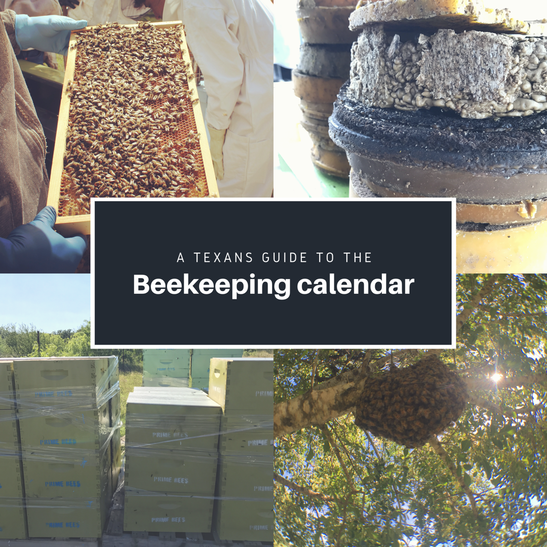 A Texan's Guide to the Beekeeper's Year - prime bees.com