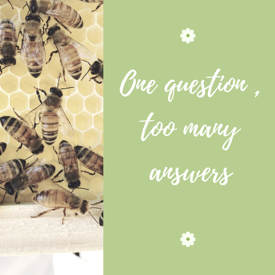 One Question, Too Many Answers - prime bees.com