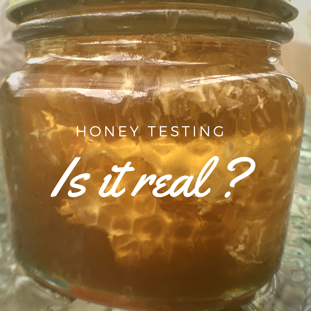 Is It Real? Honey Testing - prime bees.com