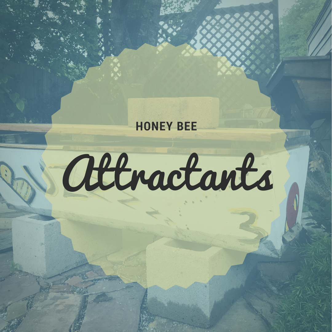 Bee Attractants - prime bees.com