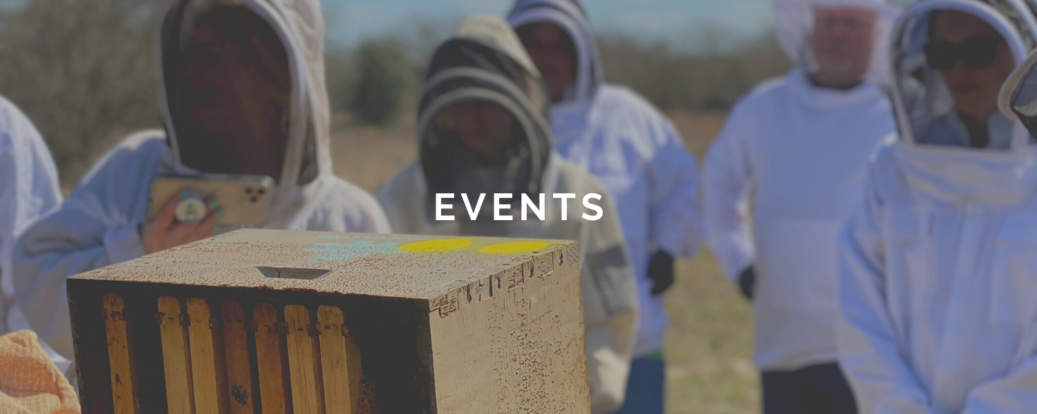 event - prime bees.com