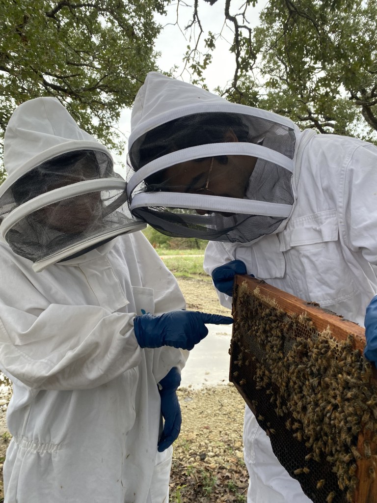 Beekeeping Lessons | Hands-On Beekeeping Experience at Prime Bees