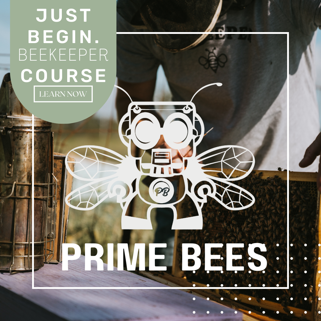 Virtual Beekeeping Class - prime bees.com